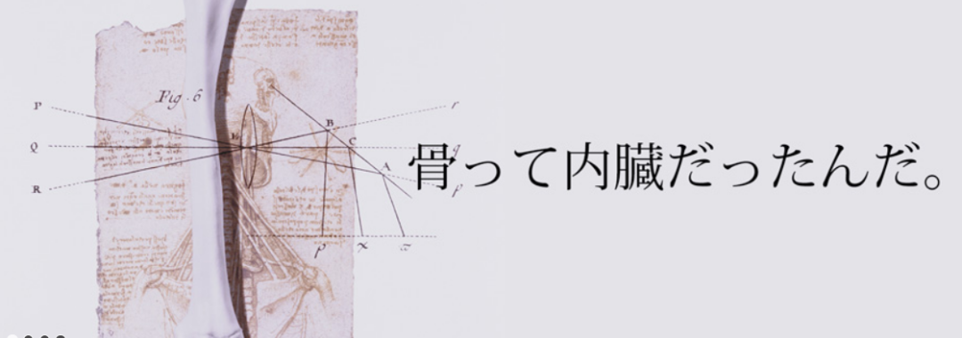 株式会社両備システムズの「KitFit SilverLand」をご紹介 – 介護･医療･福祉用具の導入アドバイザー｜フクロウ介護